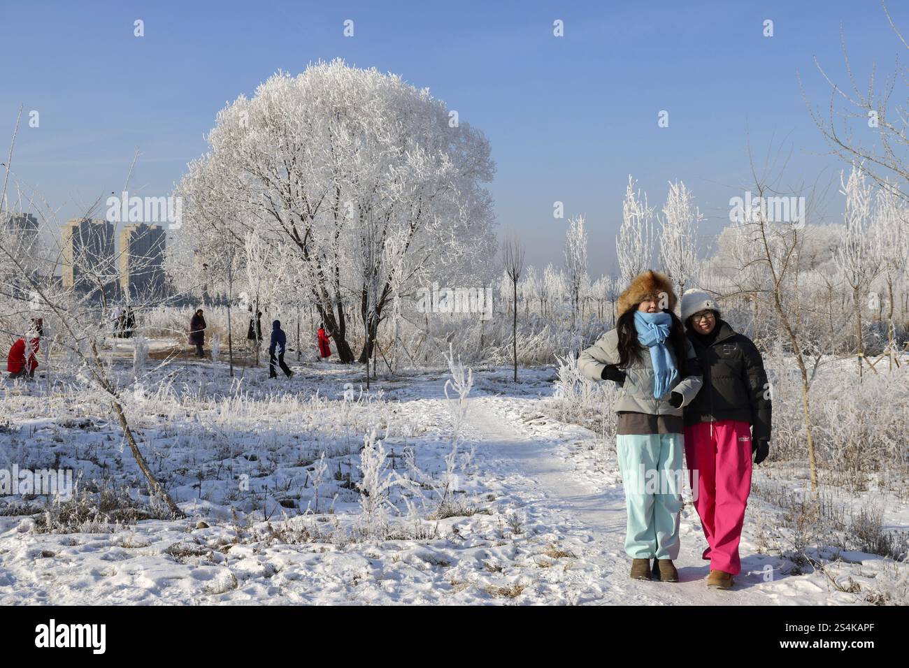 Jilin, China. 13th Jan, 2025. JILIN, CHINA - JANUARY 12, 2025 ...