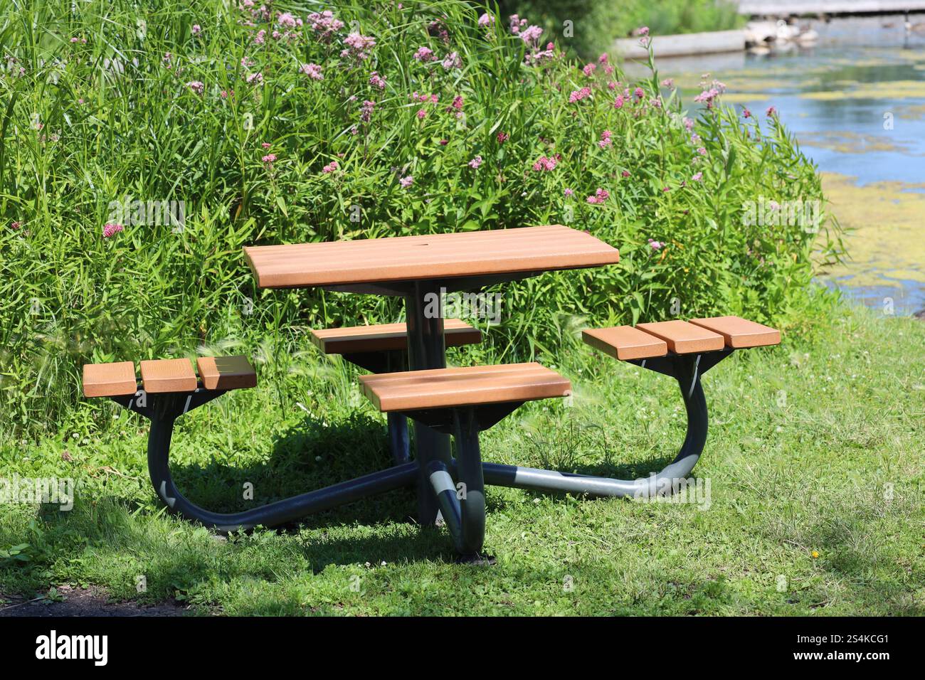 Pea green pond hi-res stock photography and images - Alamy