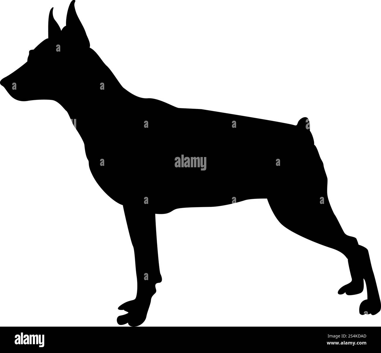 Miniature Pinscher Dog Silhouette. Smooth Vector Illustration Stock ...