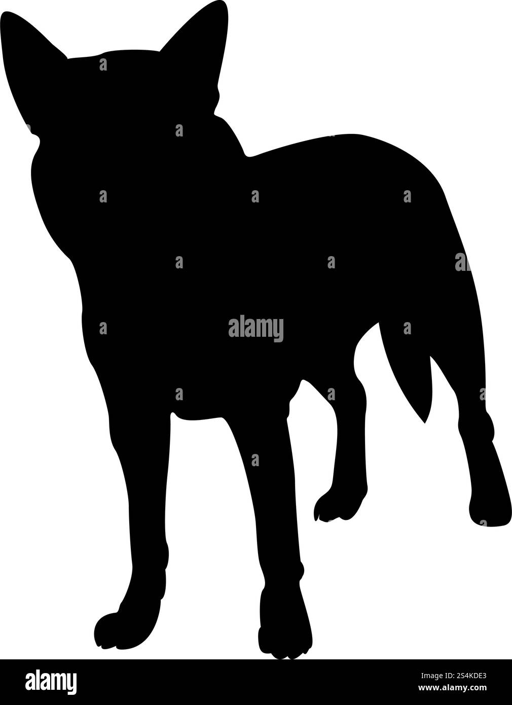 Australian shepherd aussie dog Stock Vector Images - Alamy