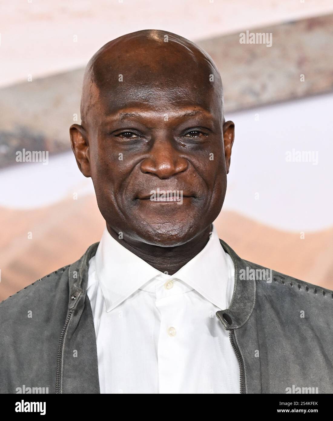 Hollywood, USA. 18th Nov, 2024. Ghanaian-British actor Peter Mensah ...
