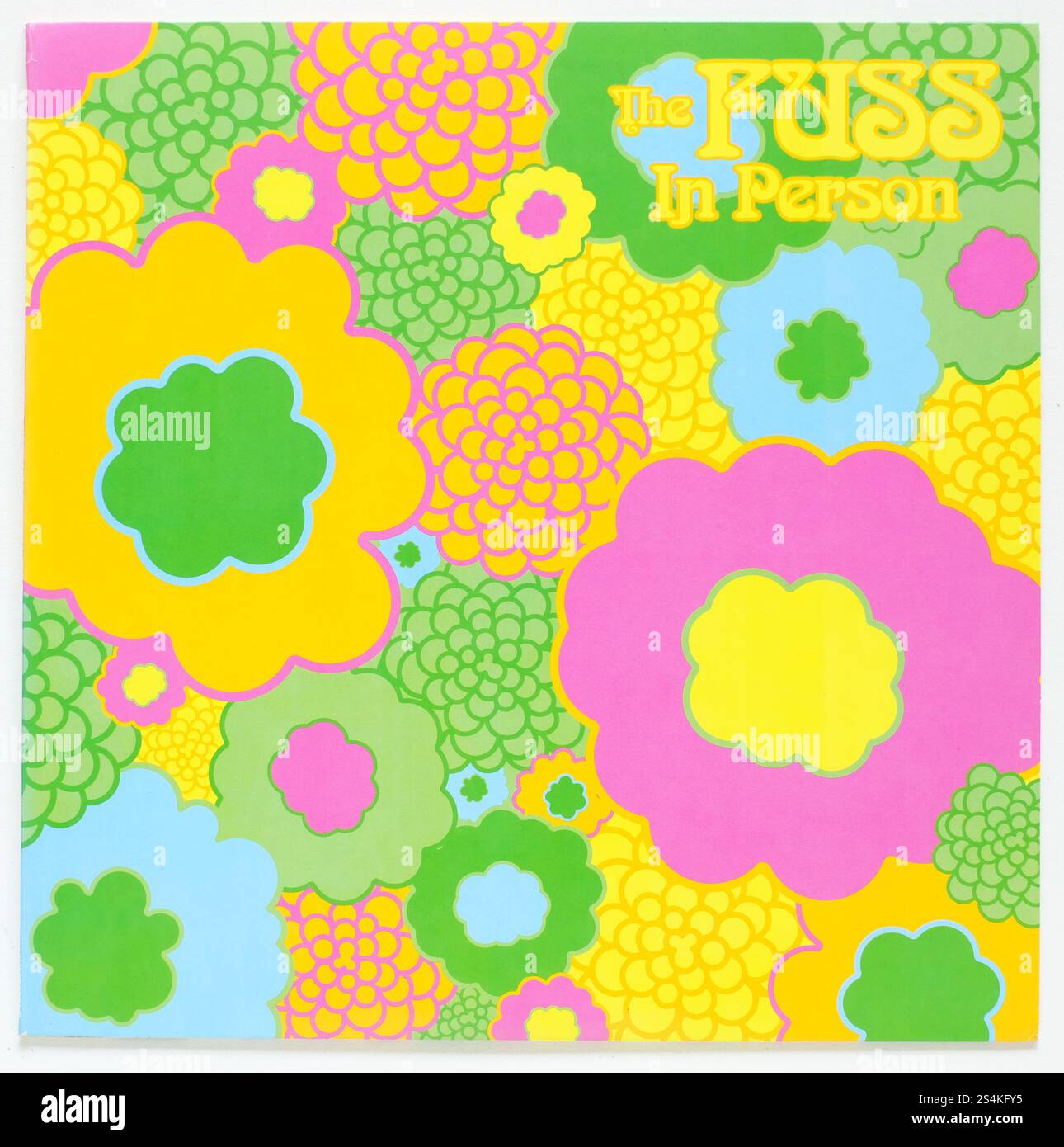 The cover of In Person, 2022 album by The Fuss on Jump Up Records ...