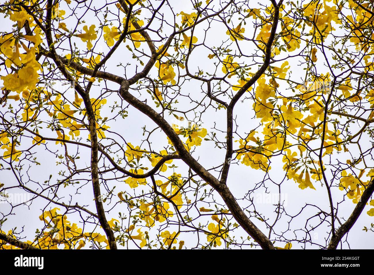 Paisaje de ecuador hi-res stock photography and images - Alamy
