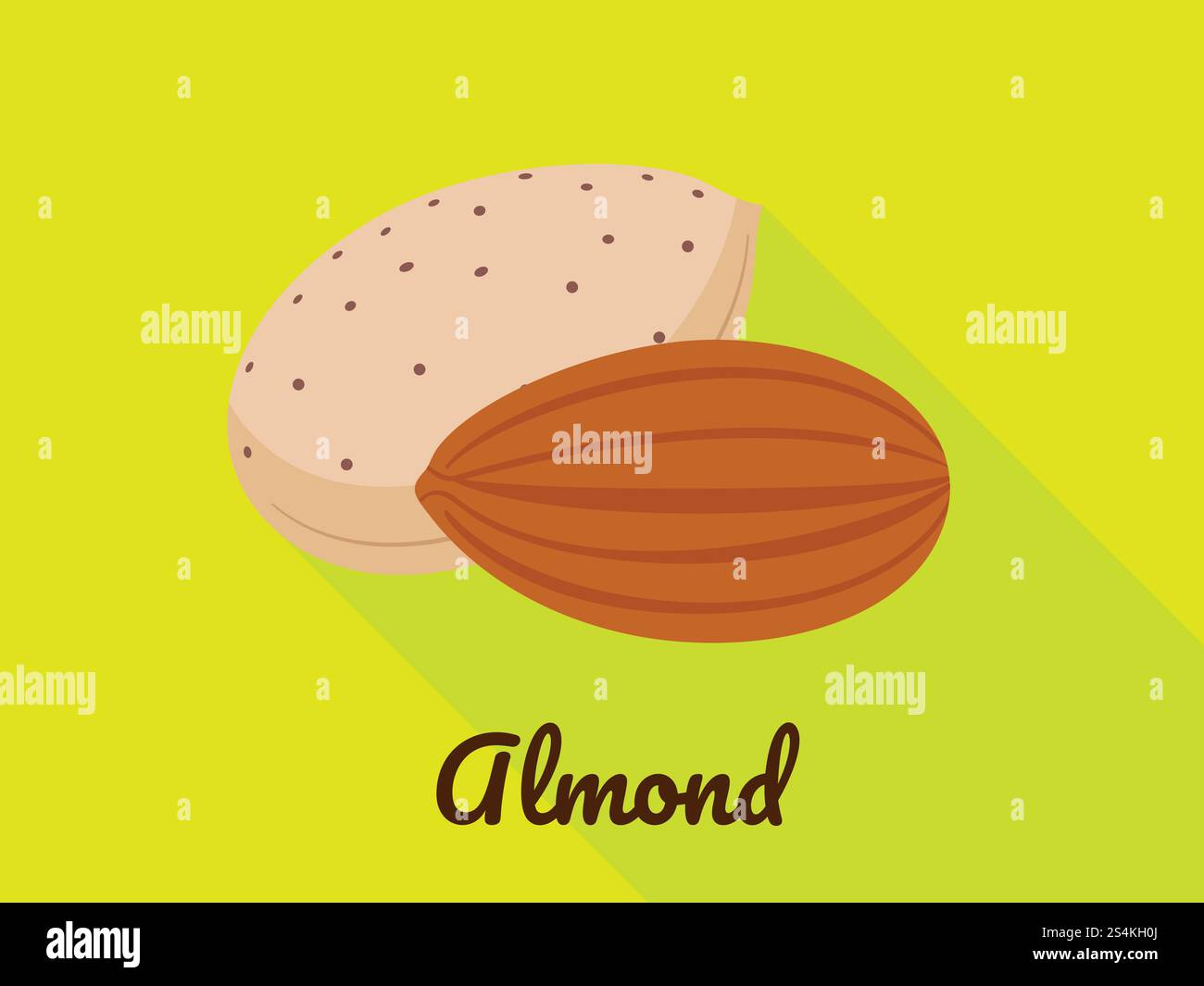 Almond icon. Flat illustration of almond vector icon for web design ...
