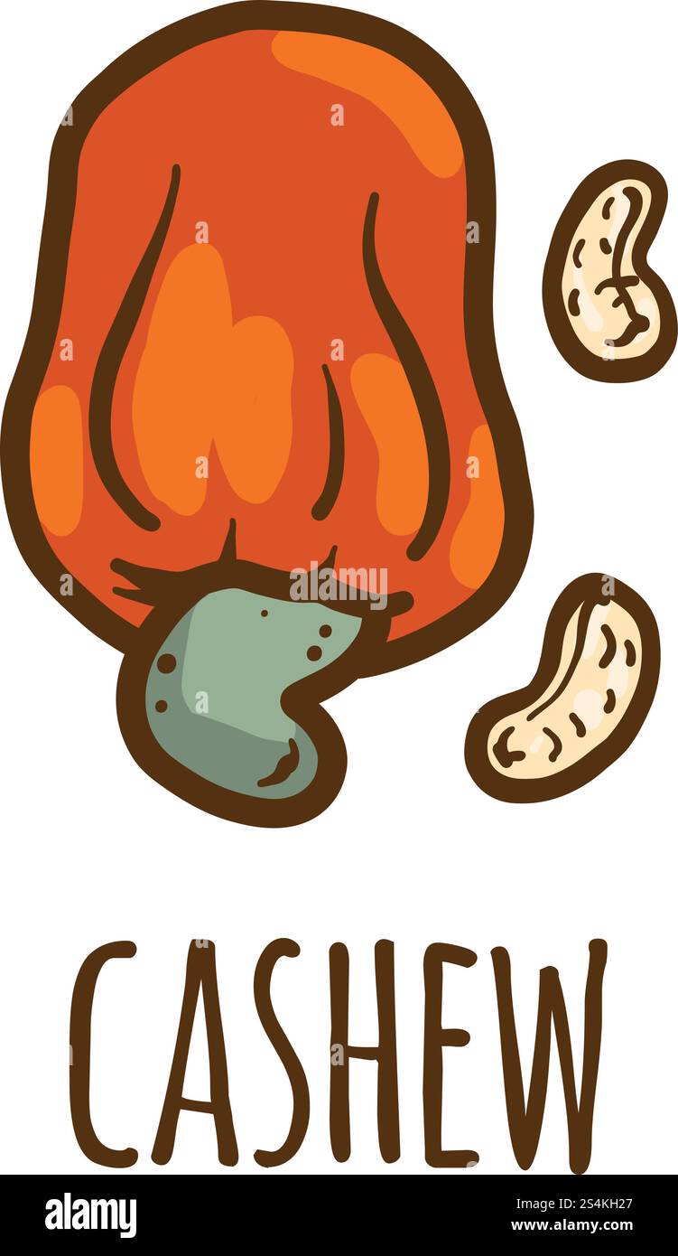 Cashew in shell icon. Hand drawn illustration of cashew in shell vector ...