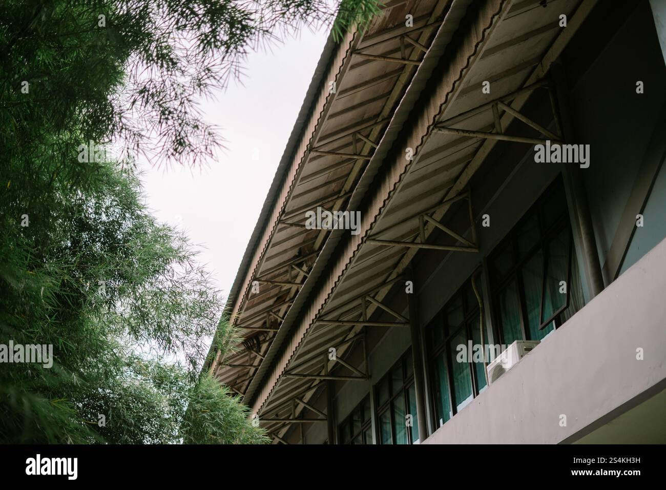 A building facade with a unique roofline, seen through green foliage ...