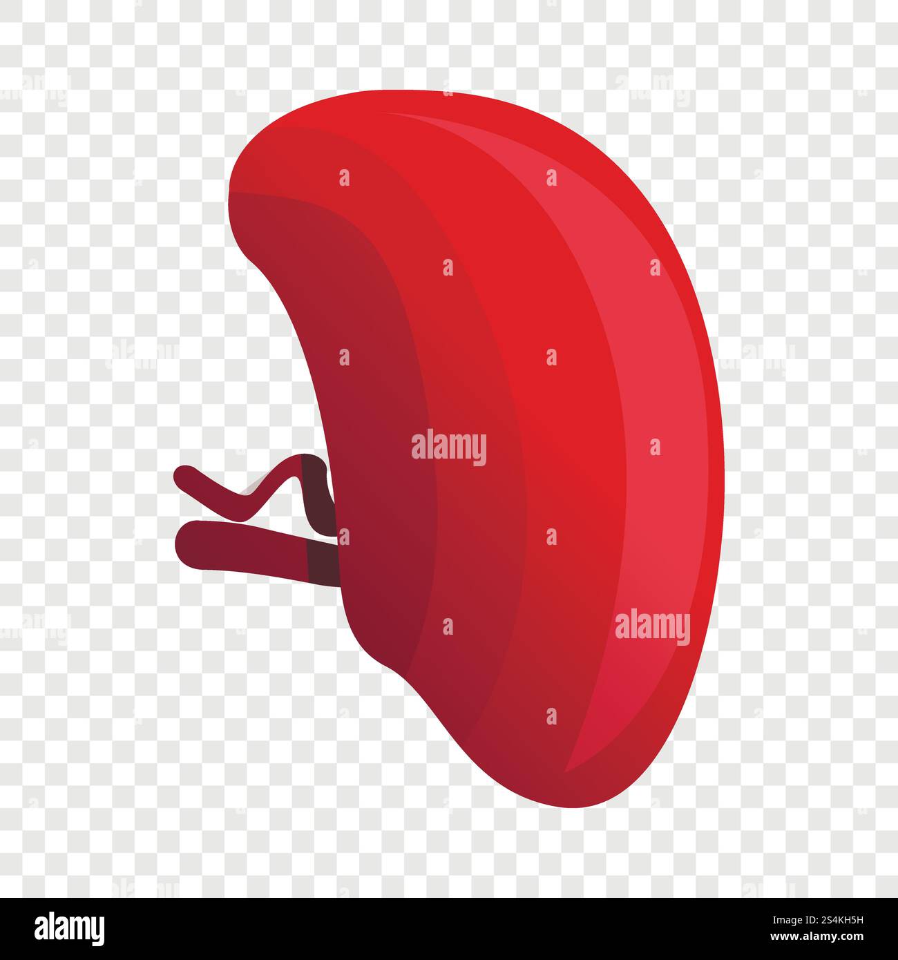 Healthy spleen icon. Cartoon of healthy spleen vector icon for web ...