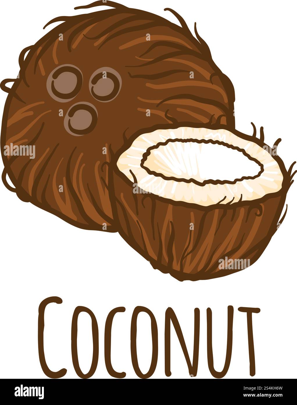 Coconut cutted icon. Hand drawn illustration of coconut cutted vector ...