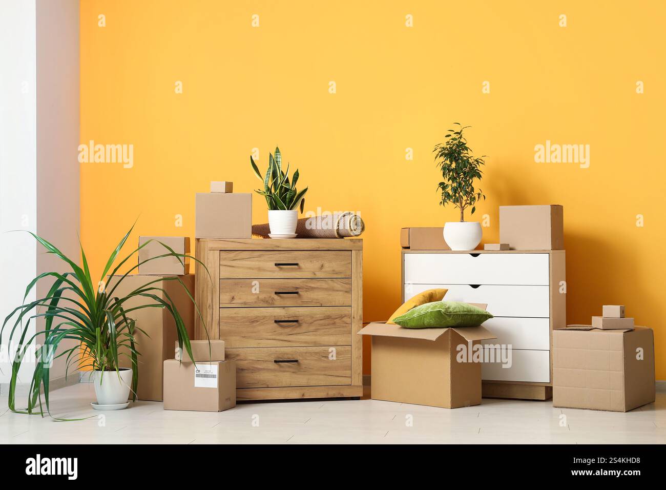 New living room interior with chest of drawers, houseplants and ...
