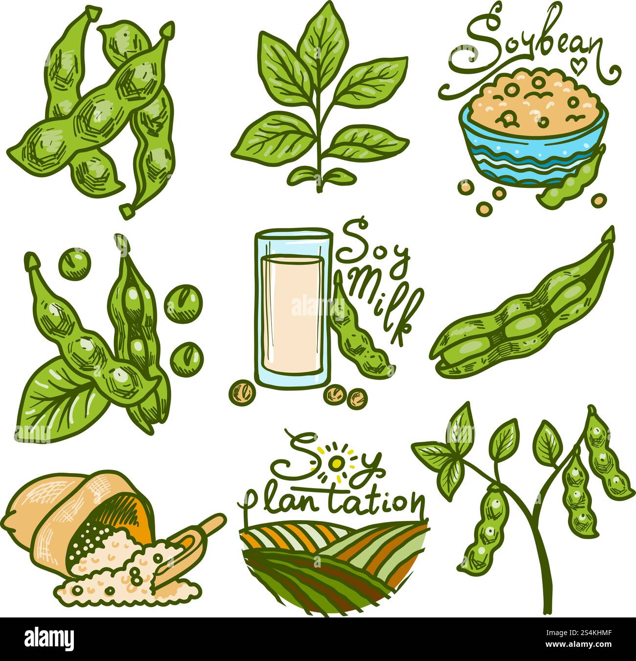Soybean icons set. Hand drawn set of soybean vector icons for web ...