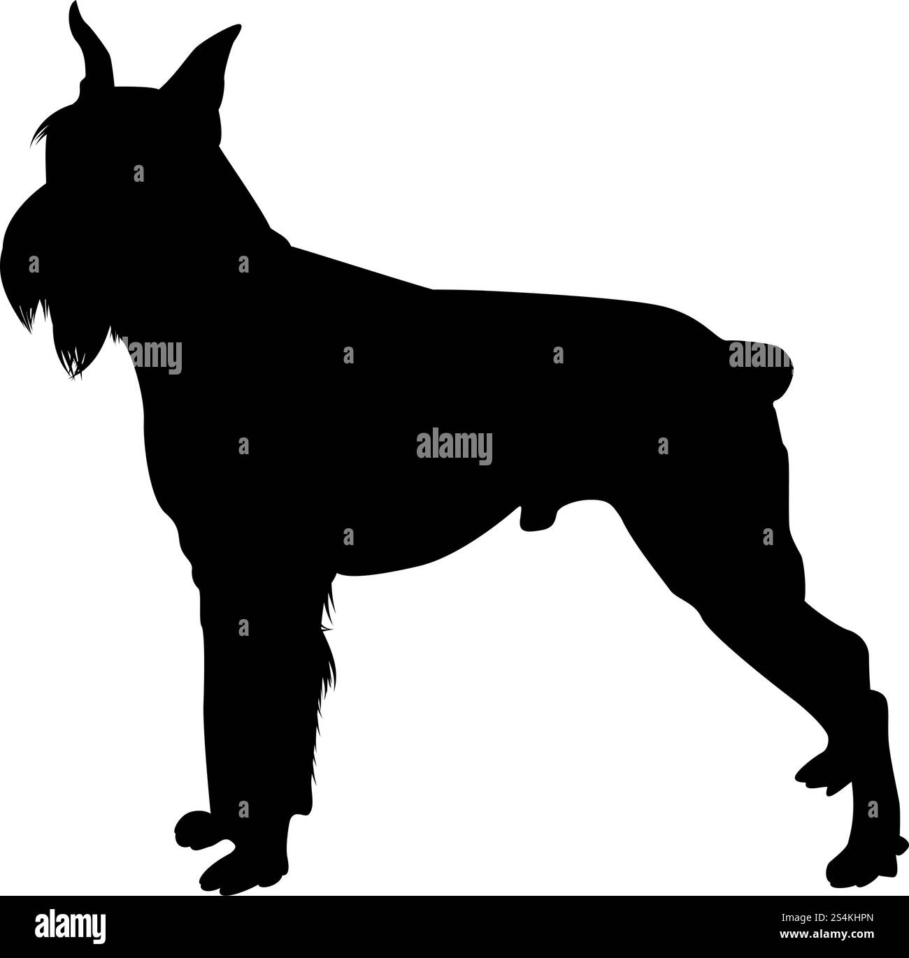 Shnauzer Dog Silhouette. Smooth Vector Illustration Stock Vector Image ...