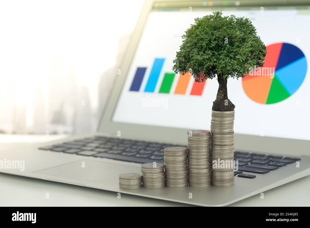finance and investing concept. The tree are grow up on coins stack and ...