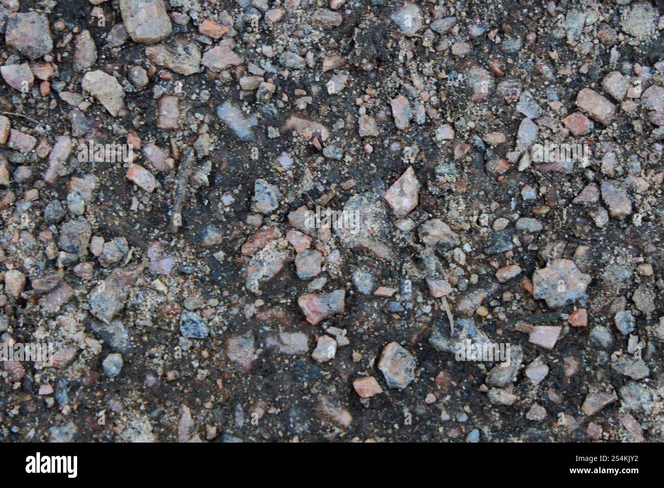 A Detailed CloseUp Image Showcasing a Variety of Gravel and Stones ...