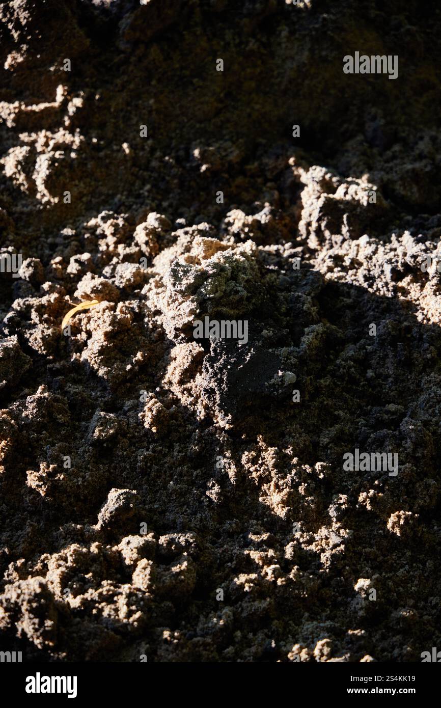 The Textured Earth Surface is beautifully Highlighted by Soft and Warm ...