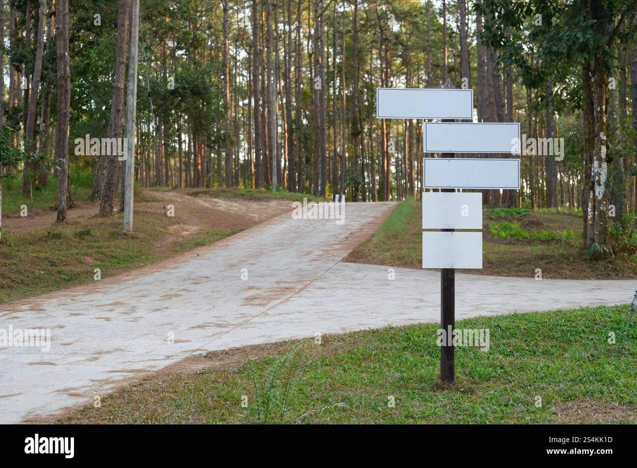 Forest pathway with blank multi directional signpost. Travel, adventure ...