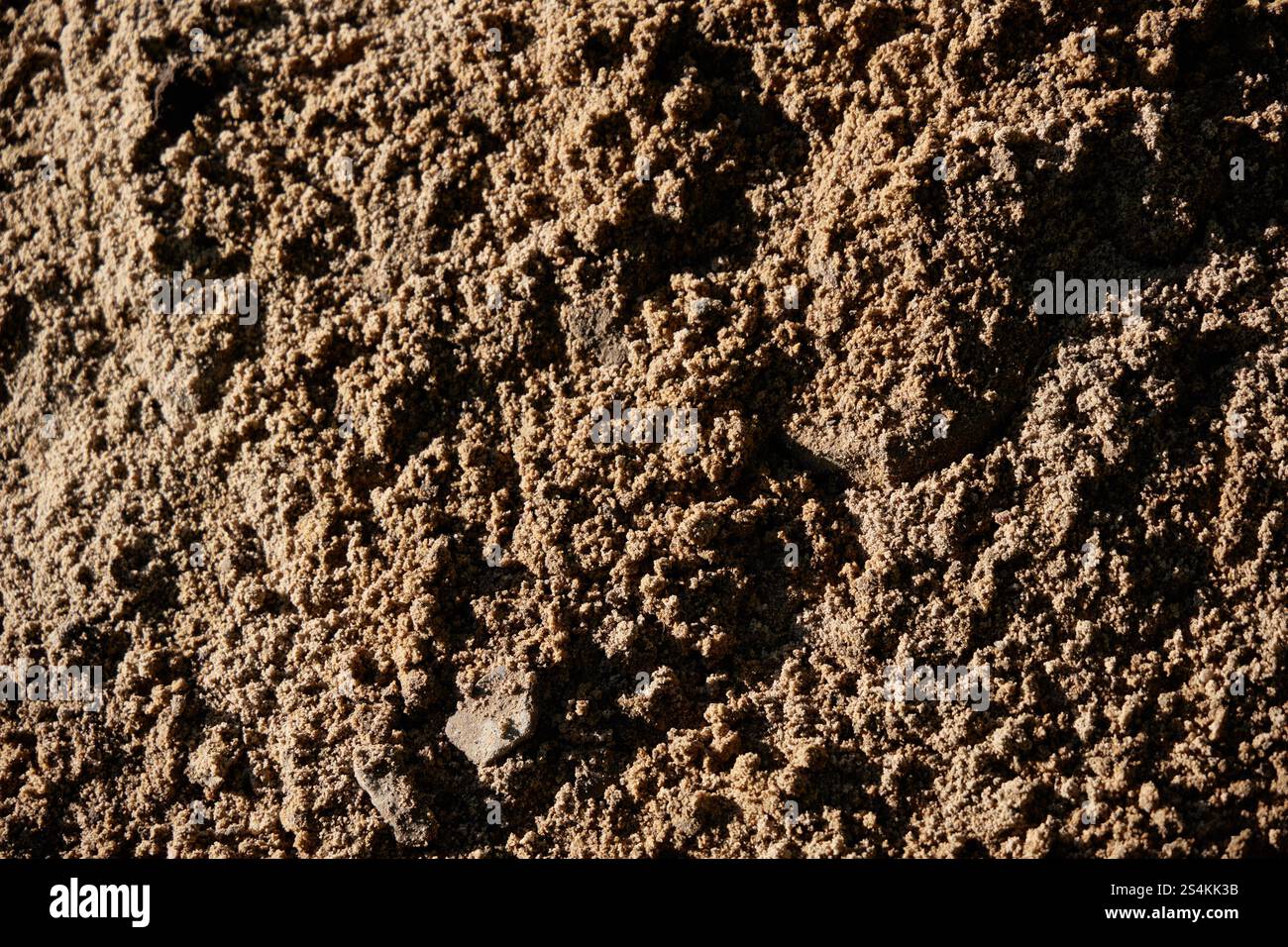 The Rich Texture of Soil Observed Under Beautiful Natural Light in ...