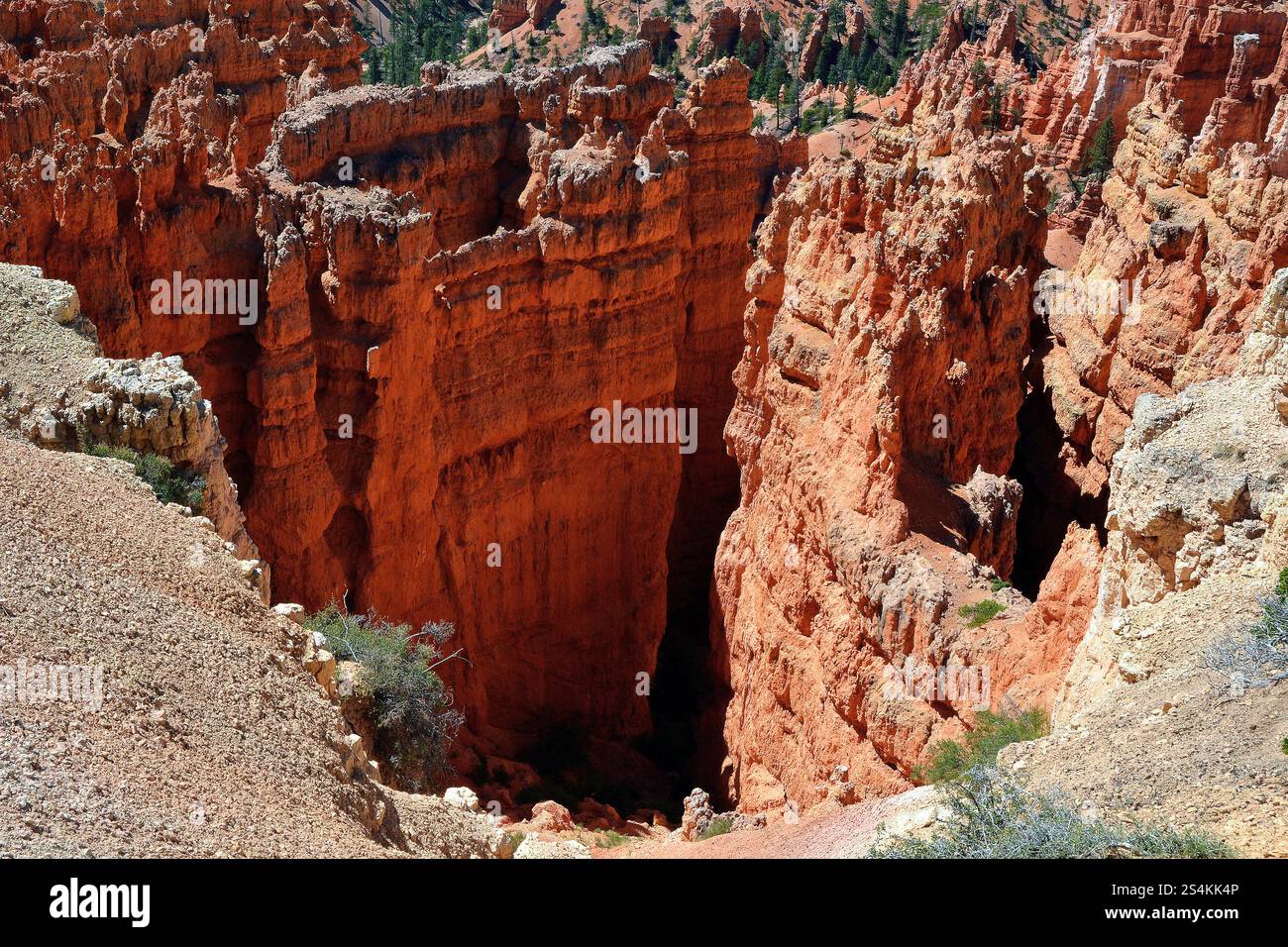 View down into the deep red rocks Bryce Canyon in Utah Stock Photo - Alamy