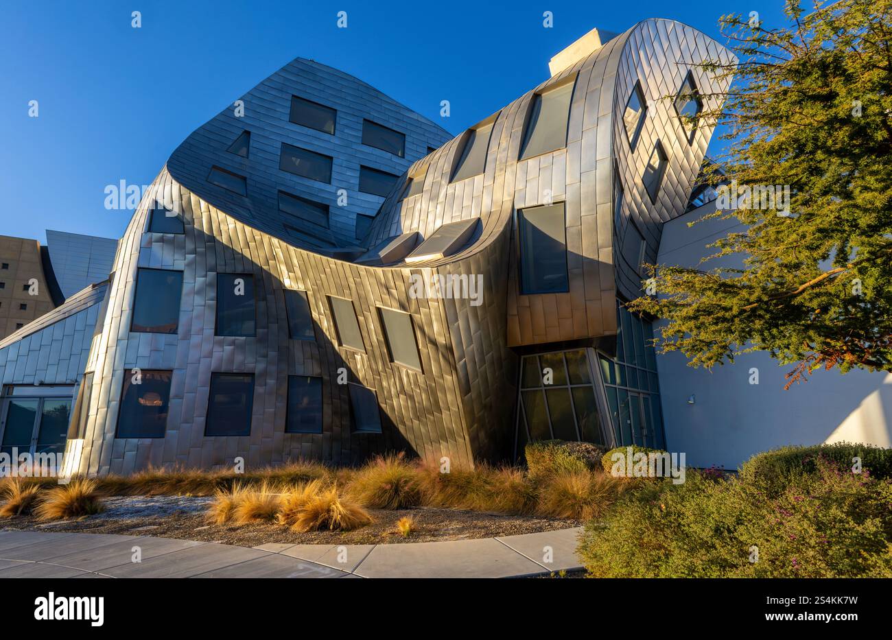 Las Vegas, Nevada - December 31, 2024: The Cleveland Clinic Lou Ruvo ...
