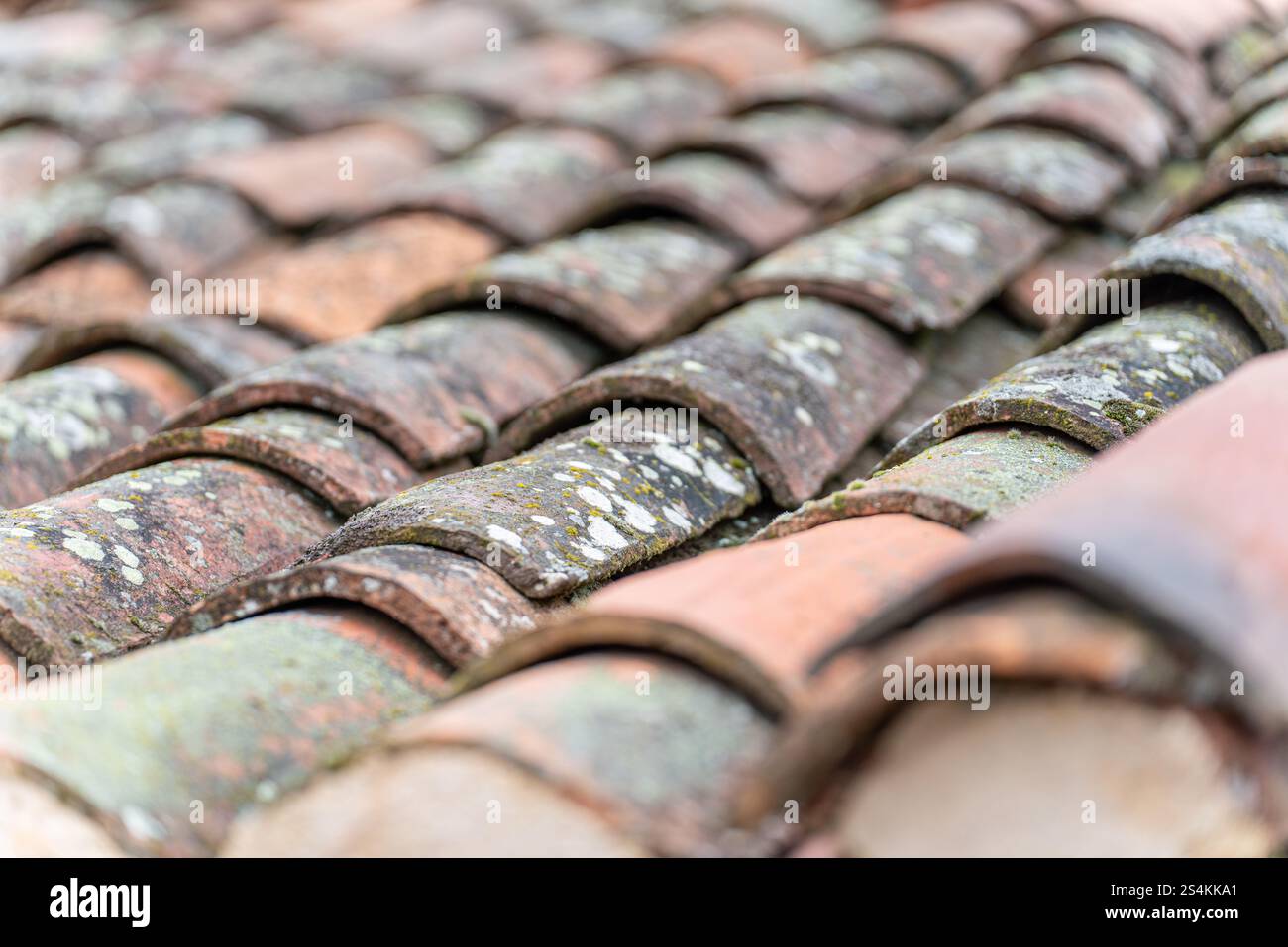 Rustic Clay Roof Tiles with Moss Detail Stock Photo - Alamy