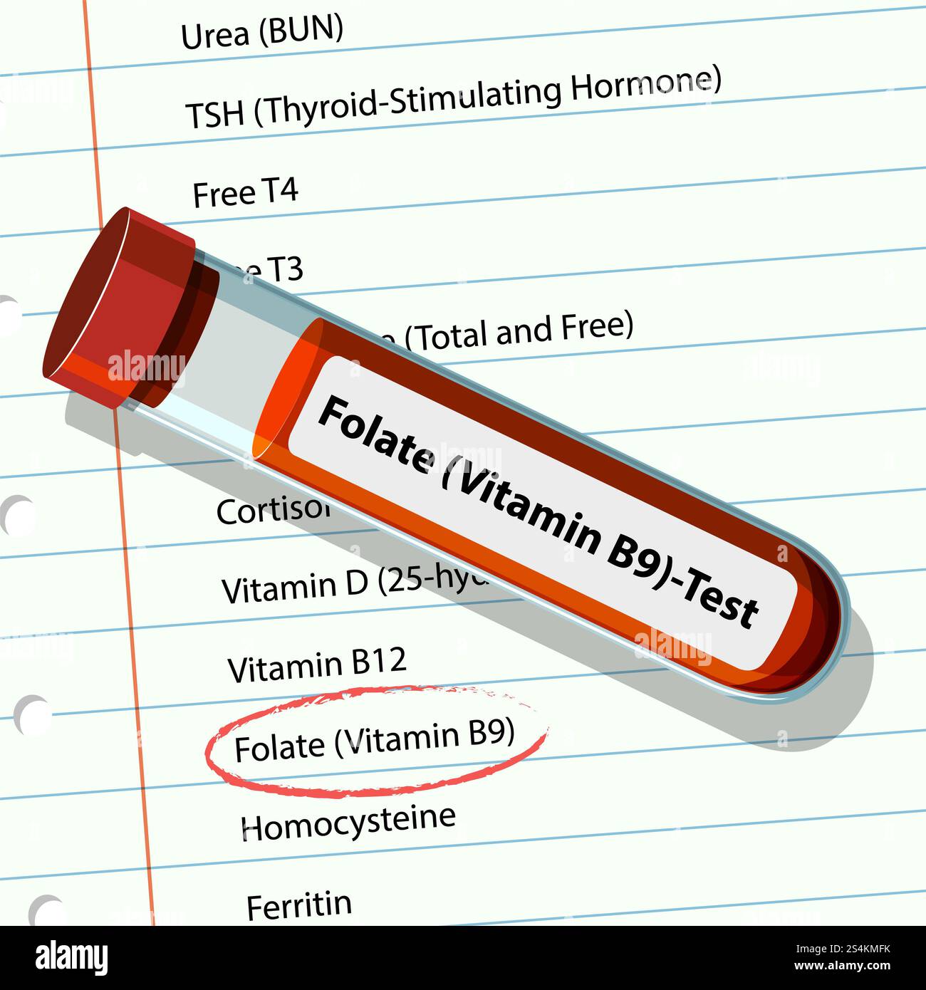 Illustration of a blood test for folate levels Stock Photo - Alamy