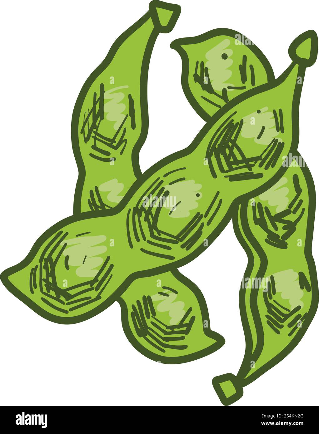 Green soybean icon. Hand drawn illustration of green soybean vector ...