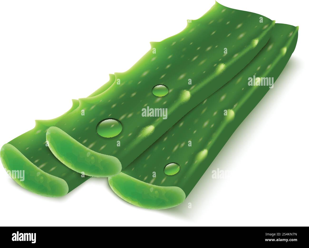 Cutting aloe leaf icon. Realistic illustration of cutting aloe leaf ...