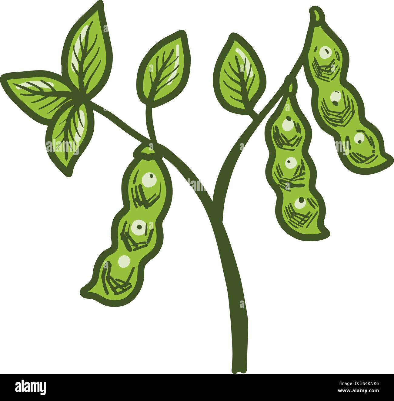 Big soybean plant icon. Hand drawn illustration of big soybean plant ...