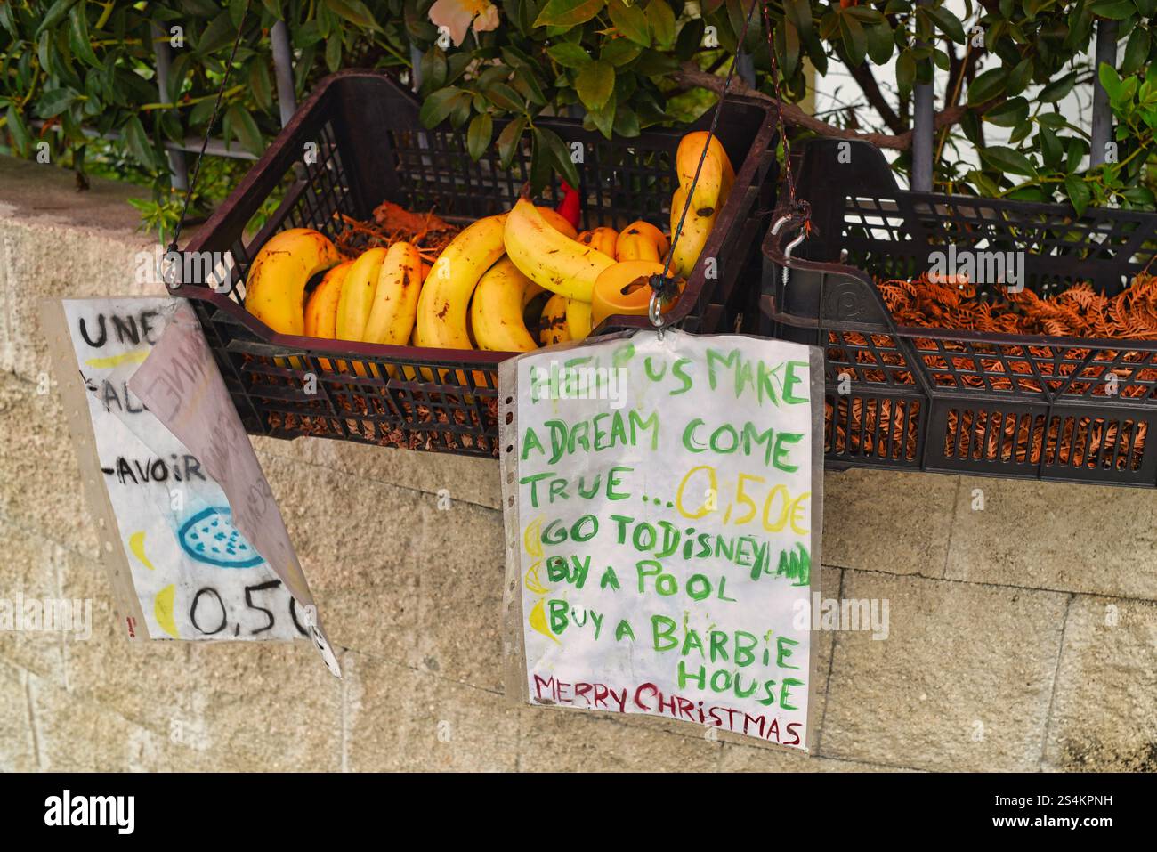 Funny signs made by children for tourists to buy fresh bananas RB2 ...