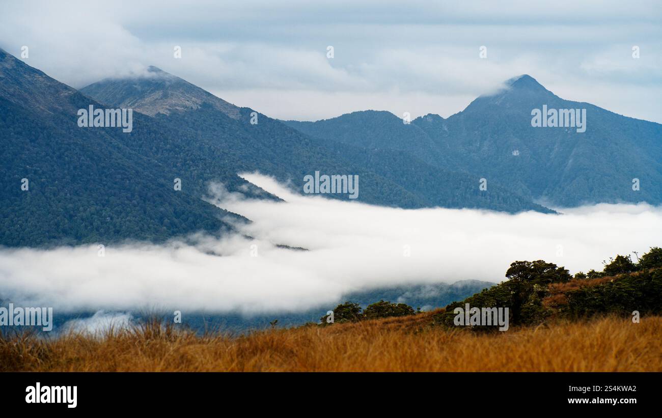 Cloud inversion below the Tablelands, Kahurangi National Park, south ...