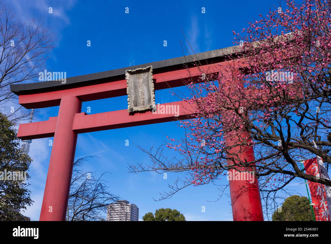 A main red gate Torii at Kameido Tenjin shrine in Tokyo Stock Photo - Alamy
