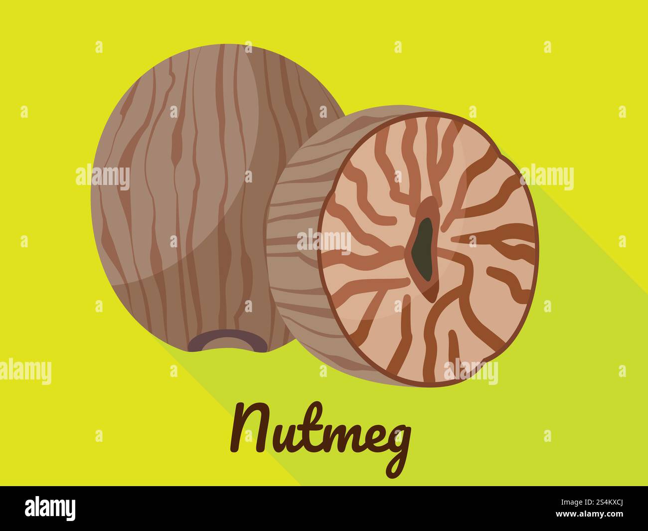 Nutmeg icon. Flat illustration of nutmeg vector icon for web design ...