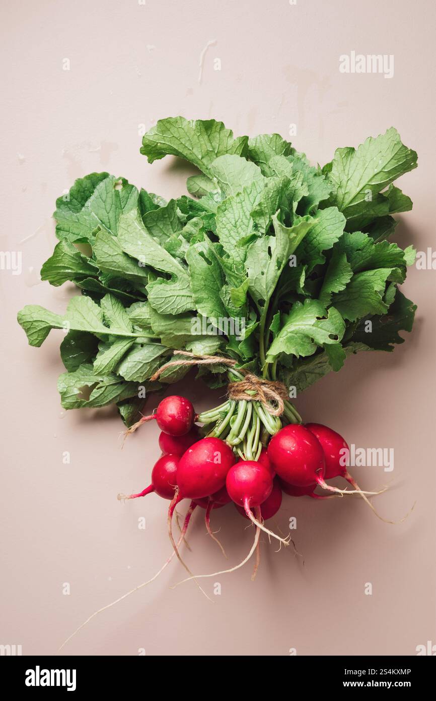 Bunch homegrown organic radishes hi-res stock photography and images ...