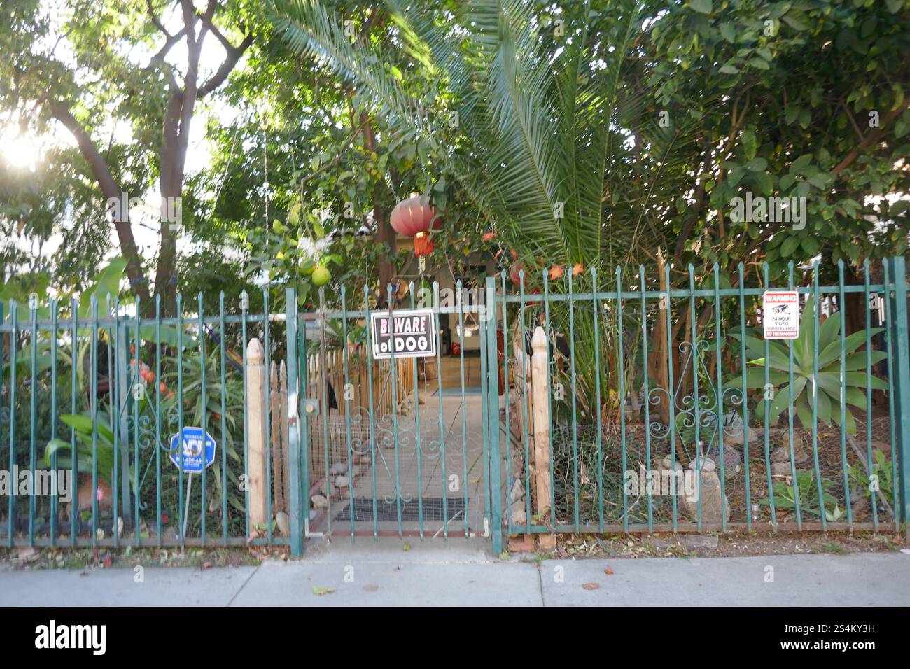 Los Angeles, California USA 12th January 2025 Leland Baldridge, Dorothy ...