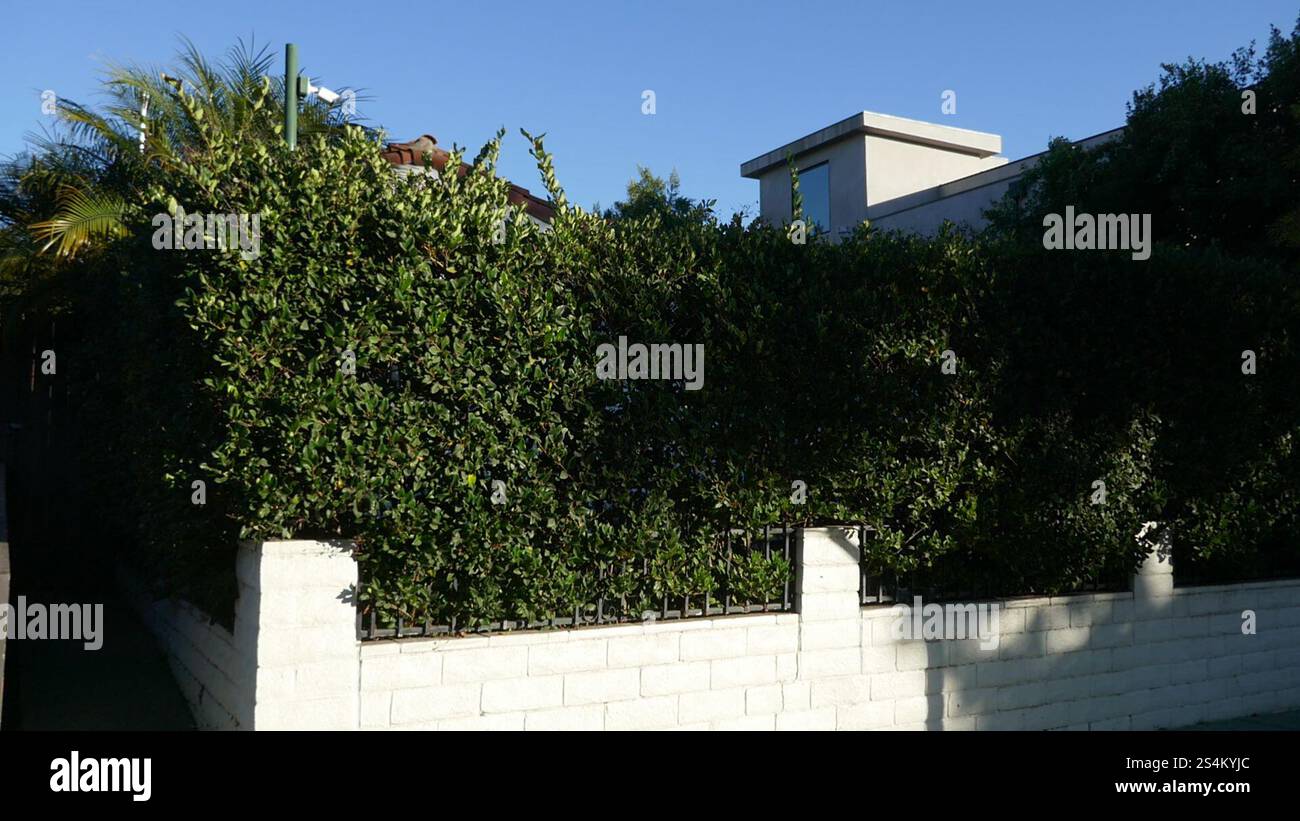 Los Angeles, California USA 12th January 2025 Studio Executive Nat ...