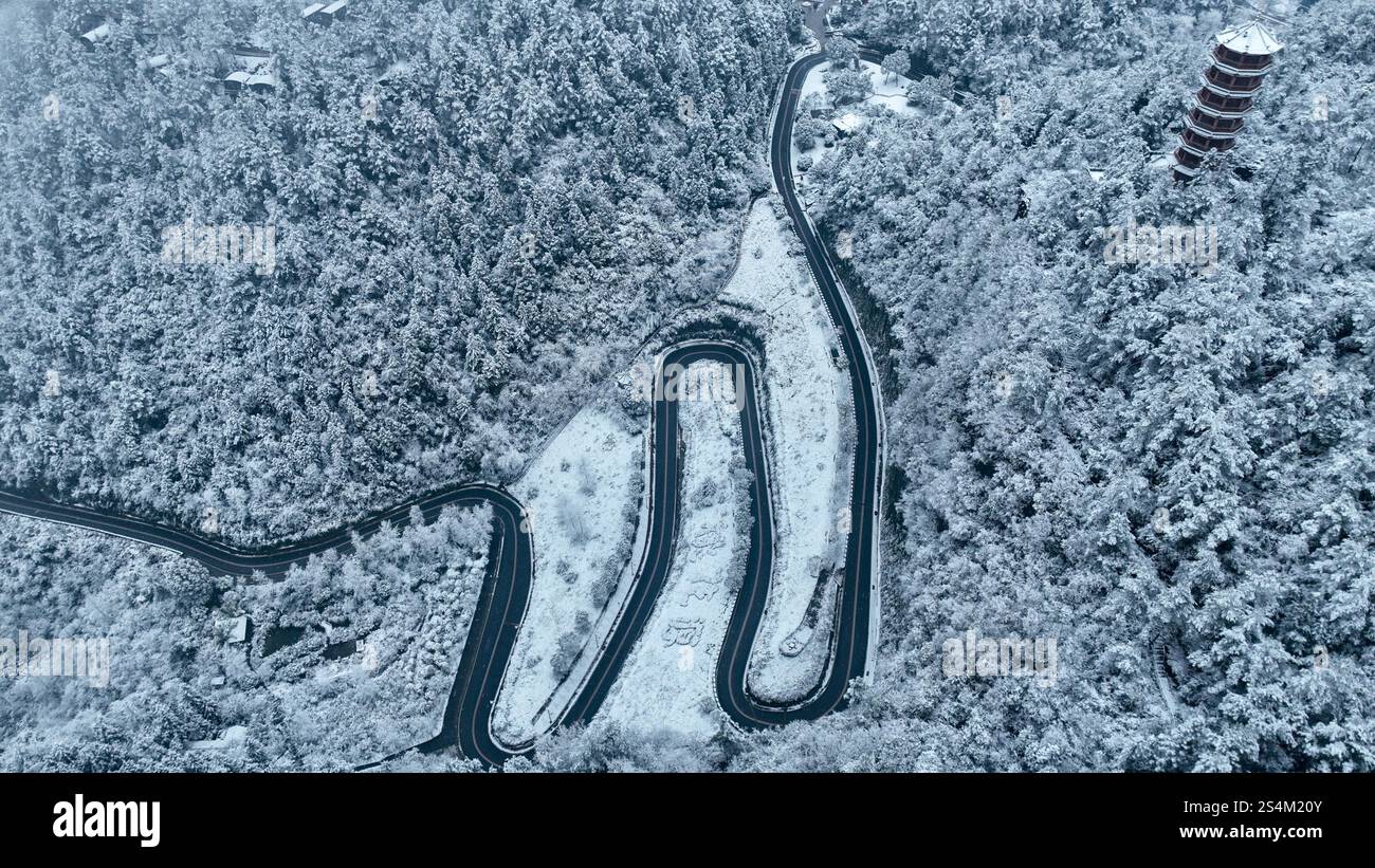 Snow scenery at a forest park in Chongqing, China, 9 January, 2025 ...