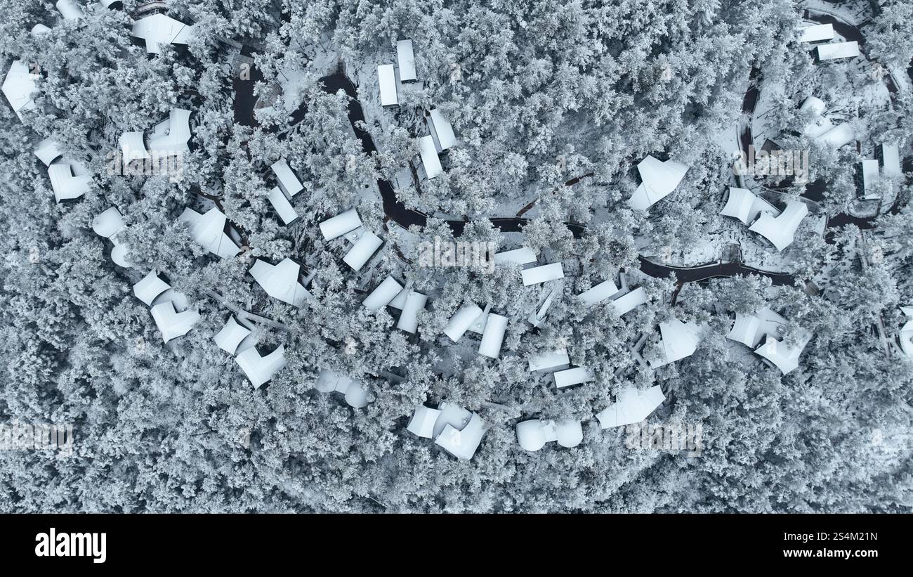 Snow scenery at a forest park in Chongqing, China, 9 January, 2025 ...