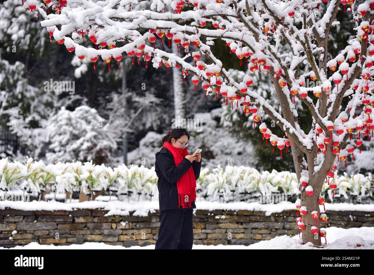 Snow scenery at a forest park in Chongqing, China, 9 January, 2025 ...