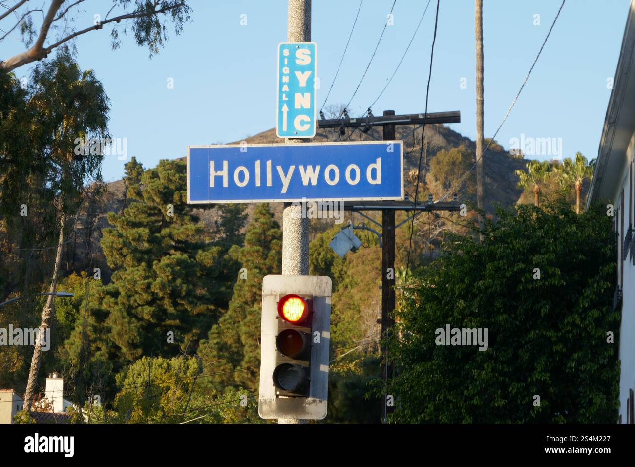 Los Angeles, California USA 12th January 2025 Hollywood Blvd Sign on ...