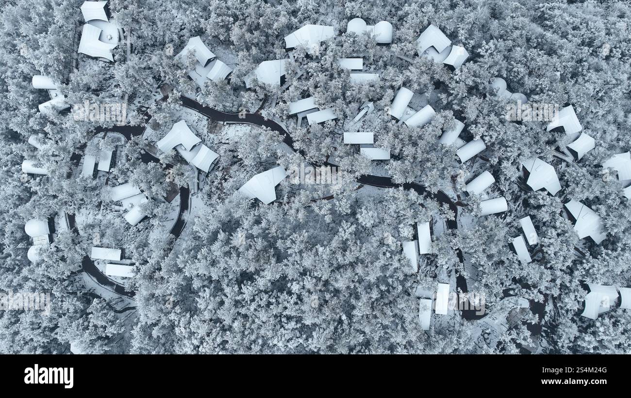 Snow scenery at a forest park in Chongqing, China, 9 January, 2025 ...