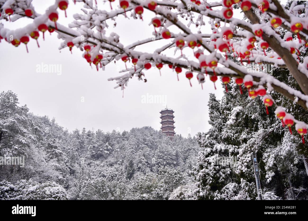 Snow scenery at a forest park in Chongqing, China, 9 January, 2025 ...