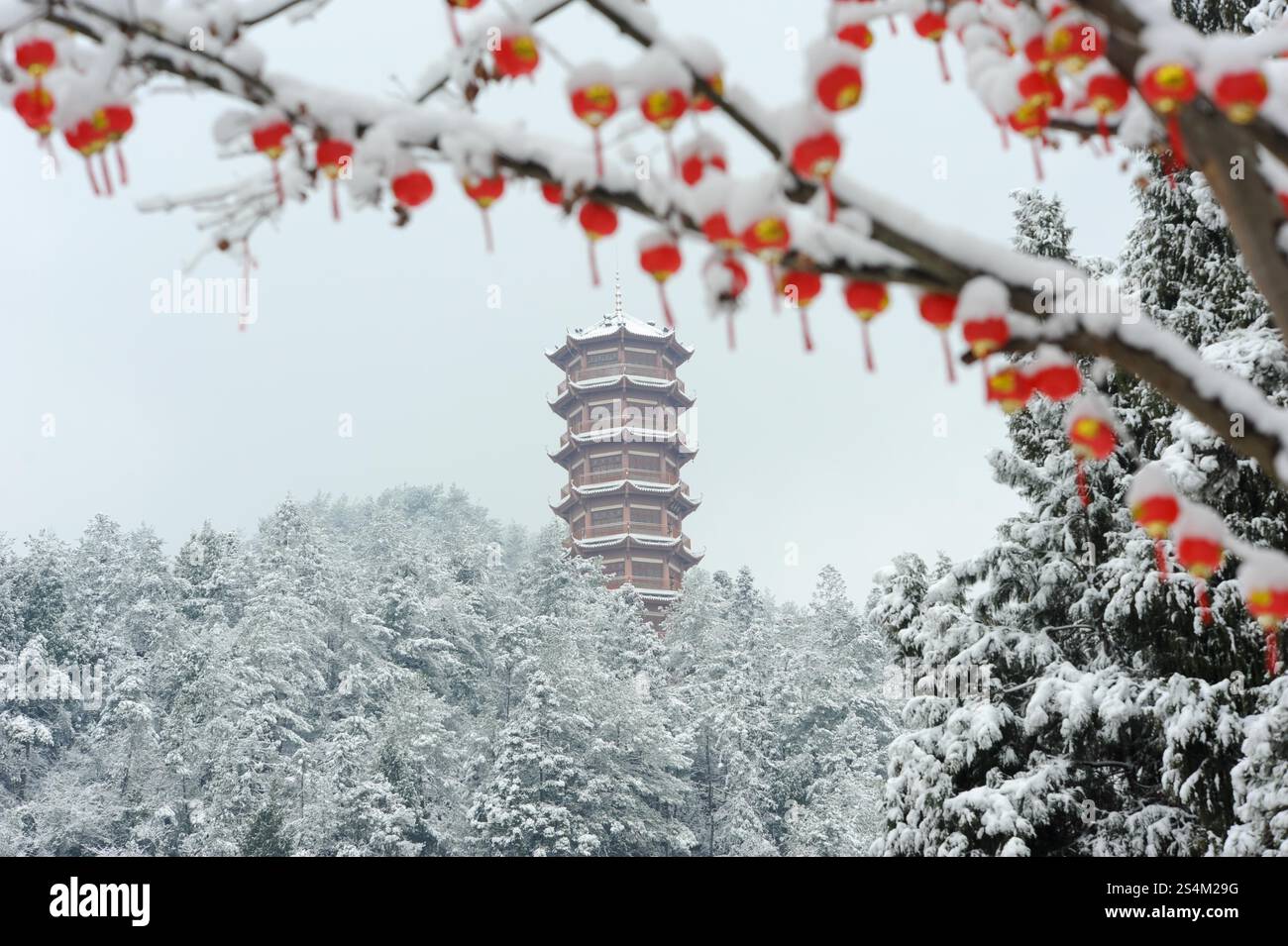 Snow scenery at a forest park in Chongqing, China, 9 January, 2025 ...