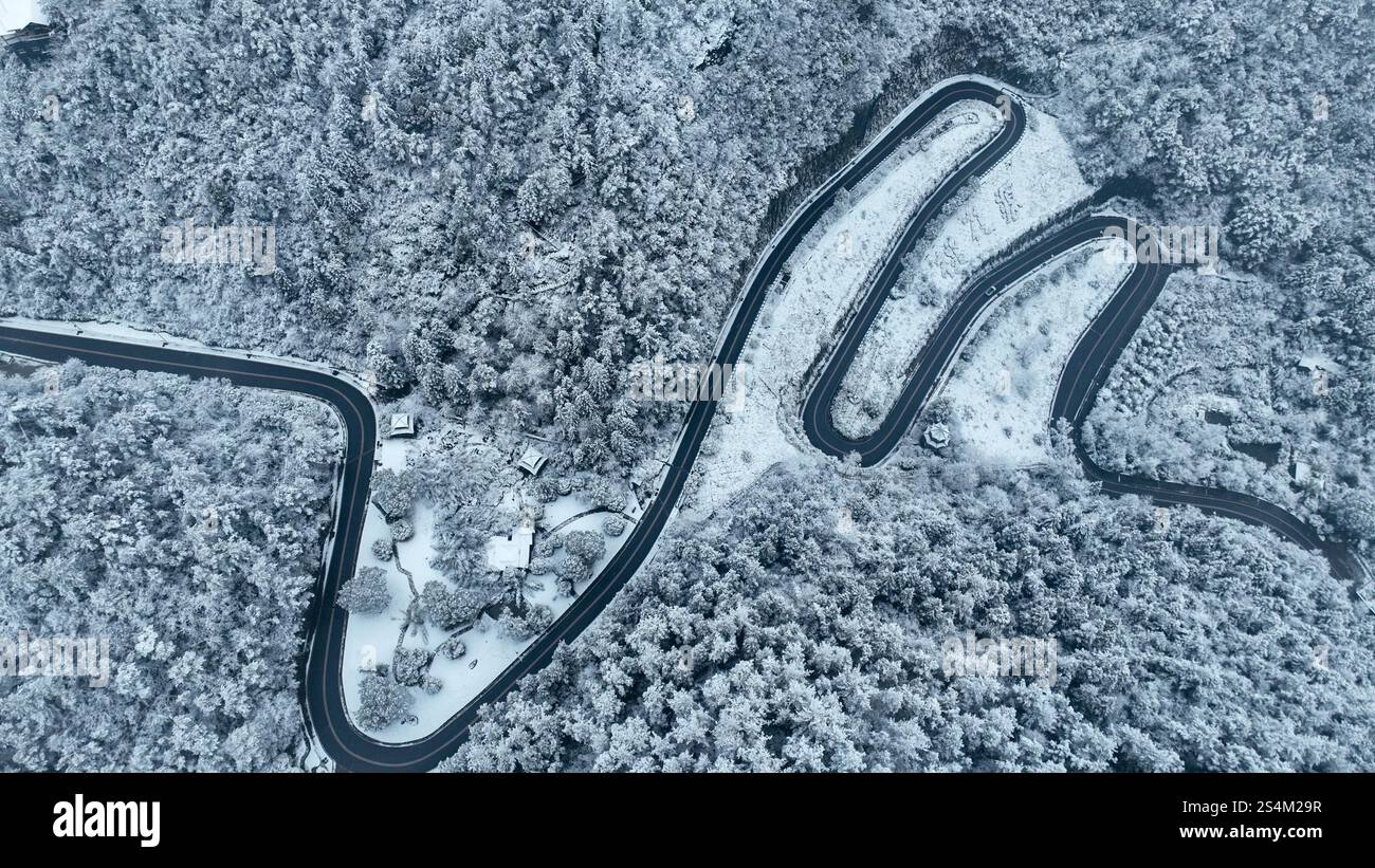 Snow scenery at a forest park in Chongqing, China, 9 January, 2025 ...
