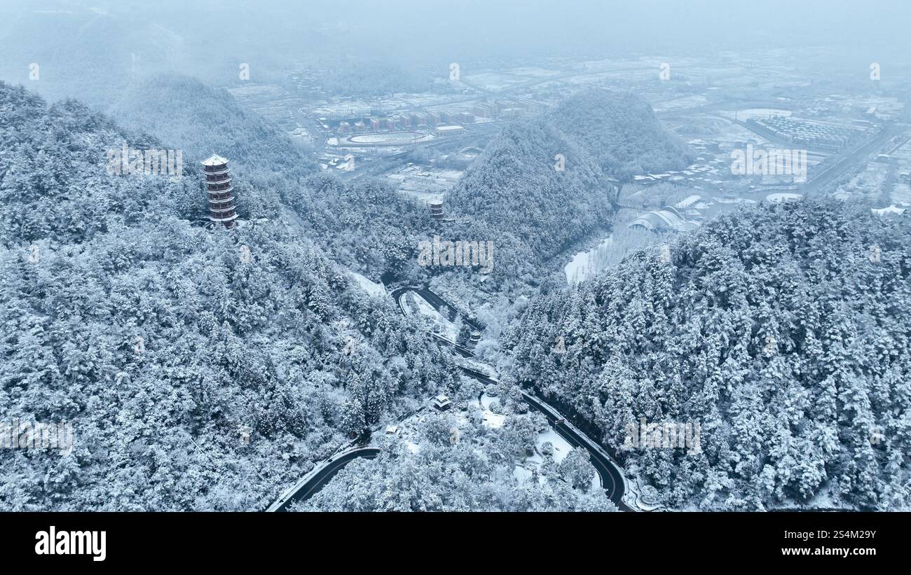 Snow scenery at a forest park in Chongqing, China, 9 January, 2025 ...