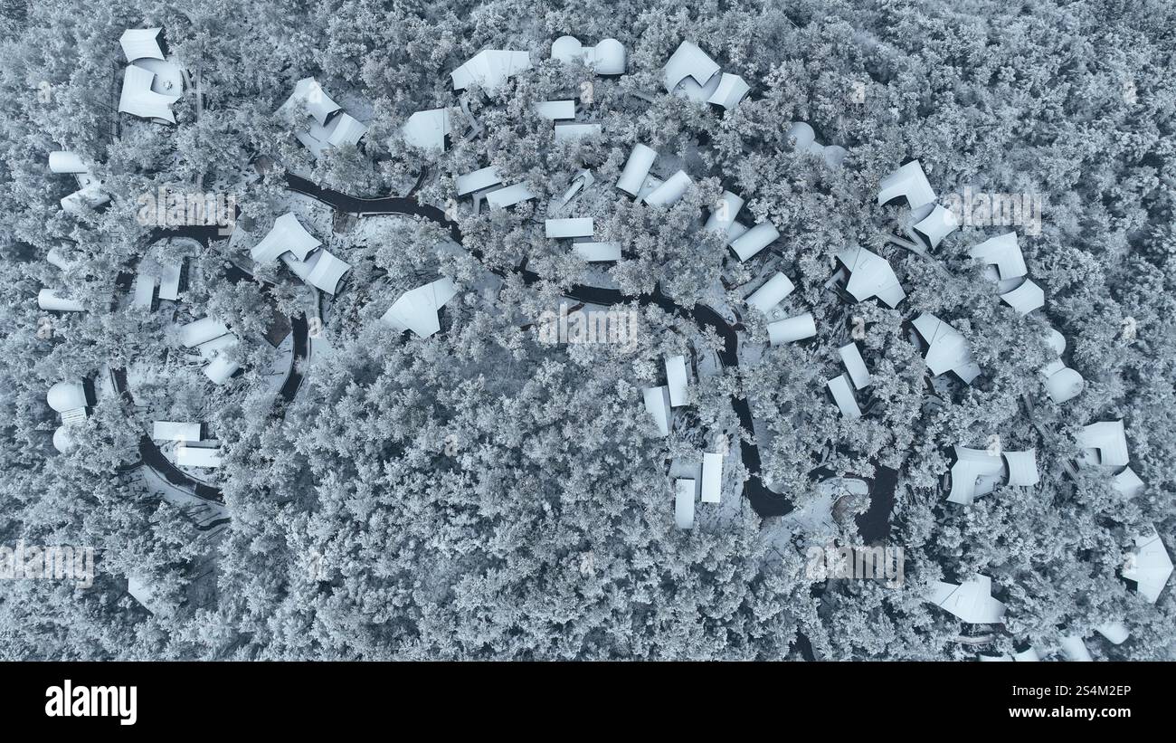 Snow scenery at a forest park in Chongqing, China, 9 January, 2025 ...