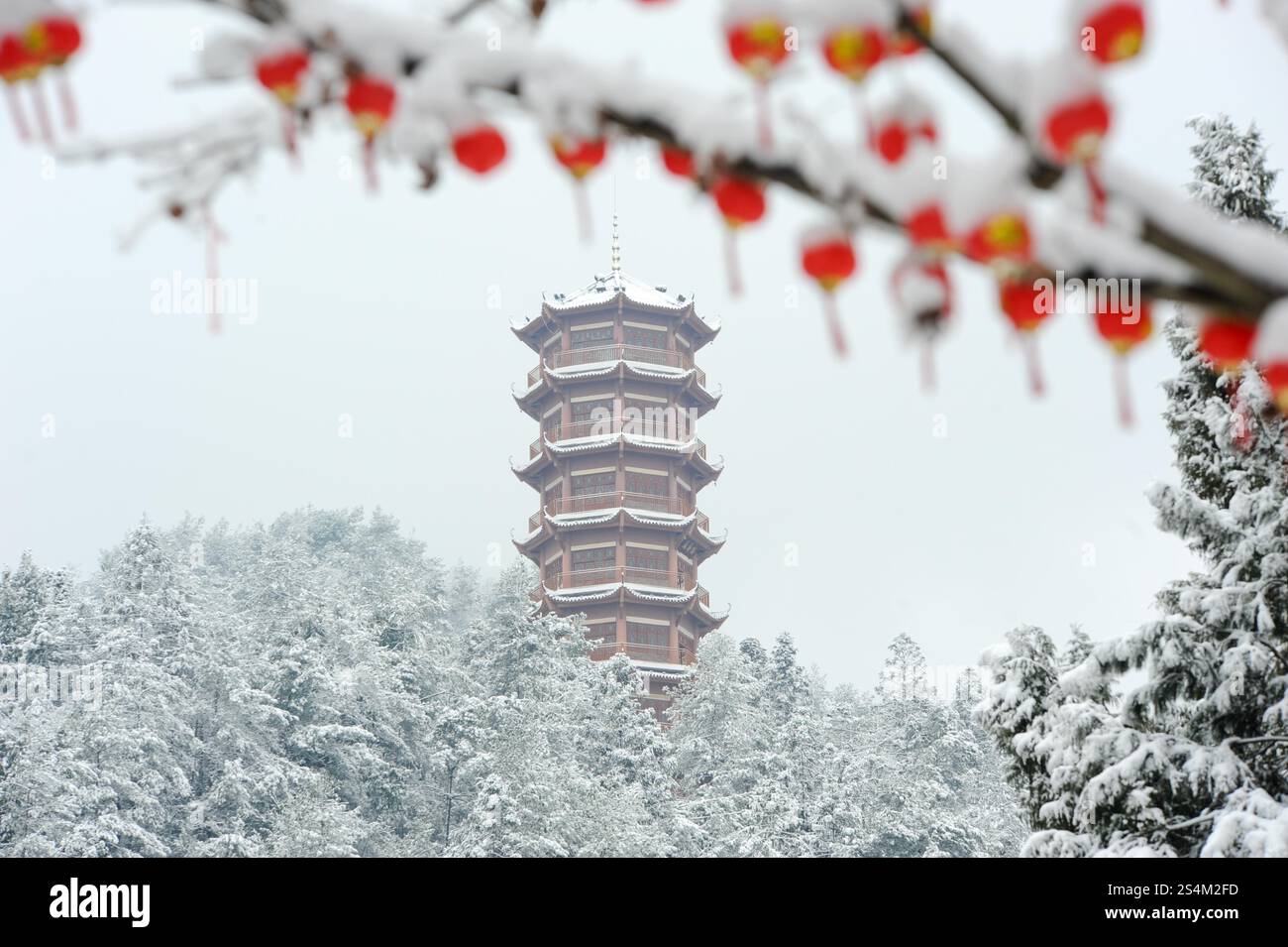 Snow scenery at a forest park in Chongqing, China, 9 January, 2025 ...