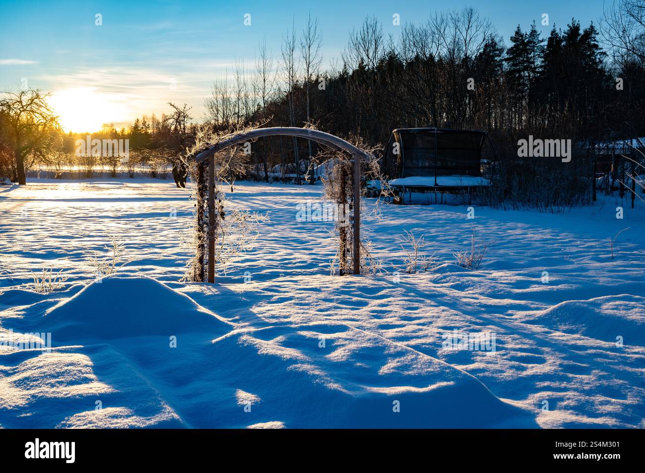 Garden with rose portal in Sweden January 12 2025 Stock Photo - Alamy