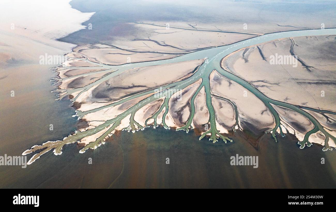 Aerial photo shows the tidal-flat presenting a landscape of forests in ...