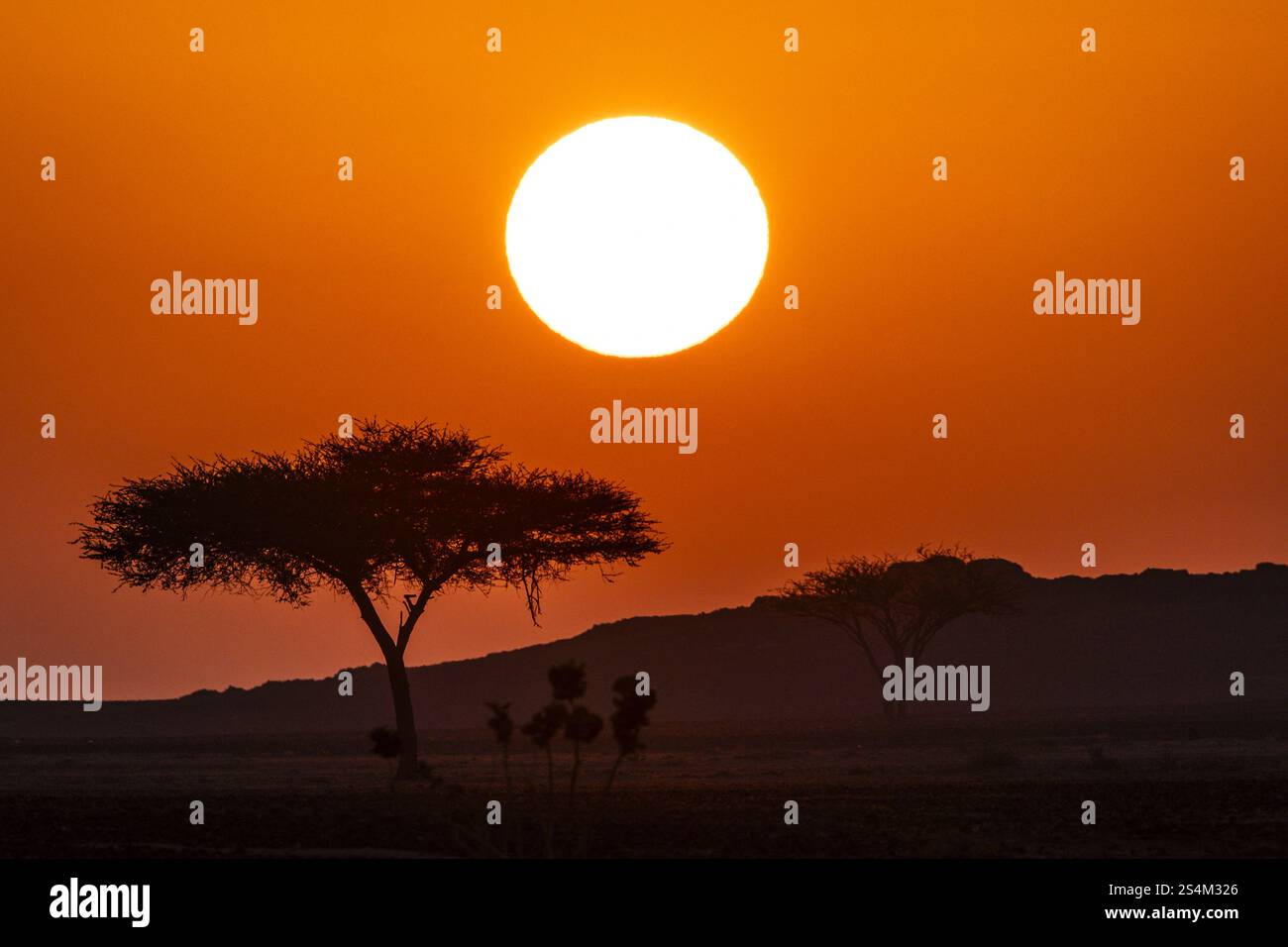 Sunrise, landscape, paysage during the Stage 8 of the Dakar 2025 on ...