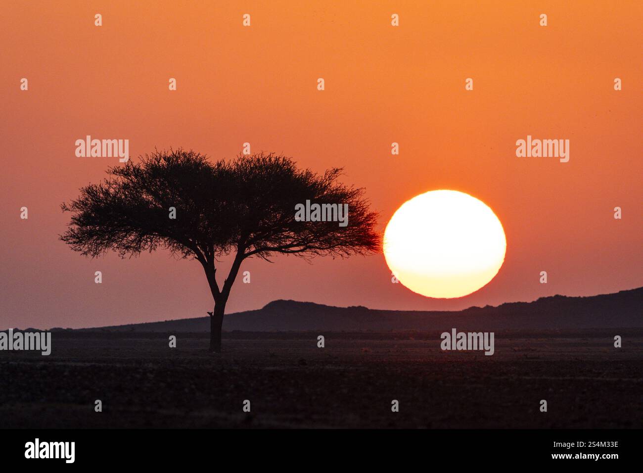 Sunrise, landscape, paysage during the Stage 8 of the Dakar 2025 on ...