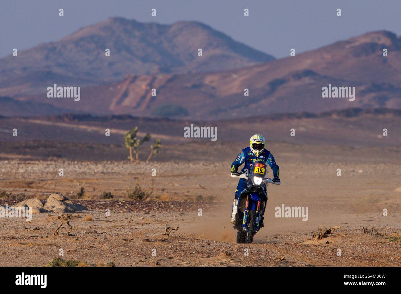 19 GONÇALVES Rui (prt), Sherco, Sherco Rally Factory, Motul, RallyGP ...